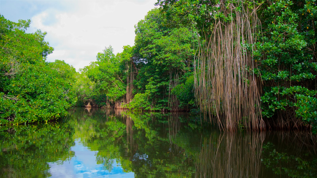 Top 5: Parques Nacionales de México - El Ranking.mx